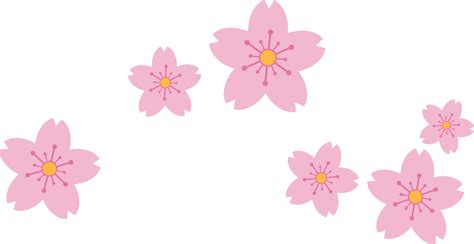 Beautiful Pink Sakura Cherry Blossom Illustration 21020262 Png