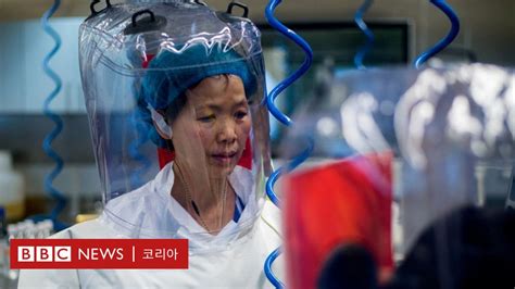 우한 연구소 교수 바이러스 유출 의혹 관련 방문 환영한다 Bbc News 코리아