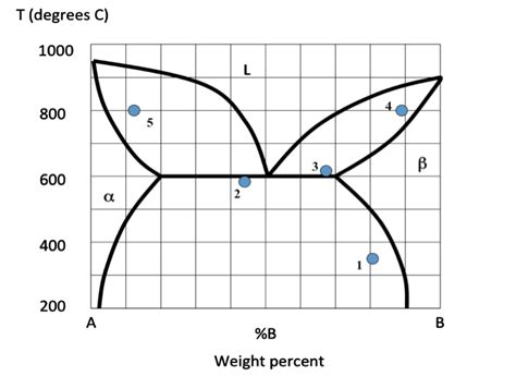 Determine The Amounts And Compositions Of Each Phase Chegg Com