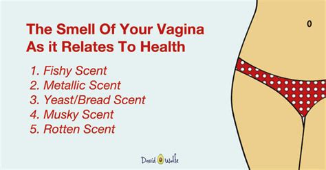 The Vagina Should It Smell This Way David Wolfe Shop