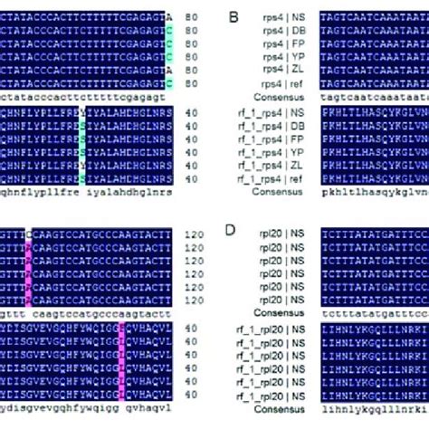 Non Synonymous Mutations Caused By Snps In The Coding Regions Of Genes