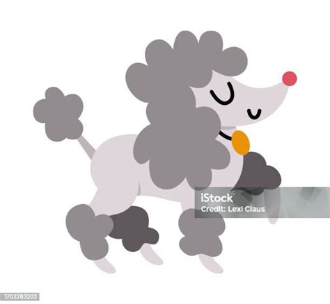 닫힌 예와 칼라가있는 푸들 가축 벡터 그림입니다 귀여운 강아지 캐릭터 아이콘은 흰색 배경에 분리되어 있습니다 프랑스어 기호 그림 개에 대한 스톡 벡터 아트 및 기타 이미지