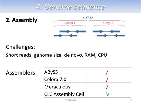 PPT Artemia Genome Sex Locus PowerPoint Presentation Free Download ID 2141818