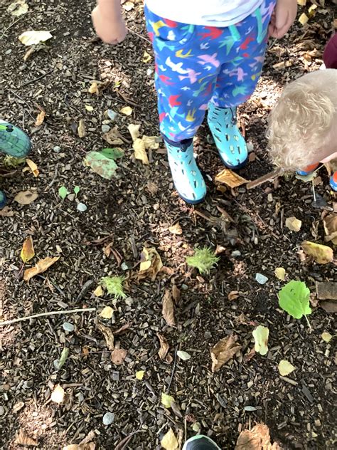 Outdoor Explorers St Blaise Primary School