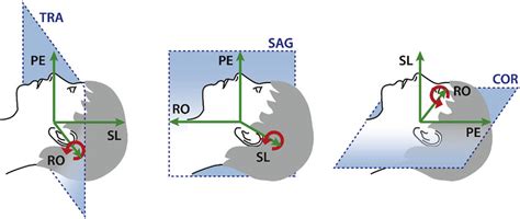 Definition Of Coordinate Axis For Phase Encoding PE Readout RO And Download Scientific