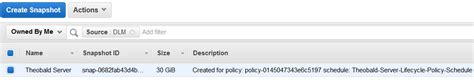 create ebs volume snapshots by amazon data lifecycle manager