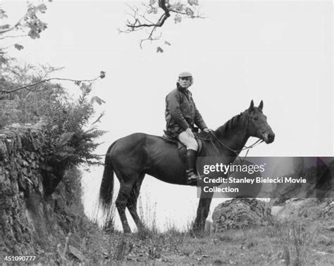 626 David Robb Photos And High Res Pictures Getty Images