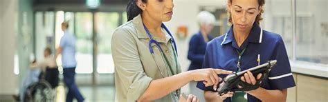 What Is The Public Sector Decarbonisation Scheme Sefe Energy Uk