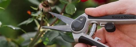Why Is It So Important To Use Sharp Cutting Tools In The Garden