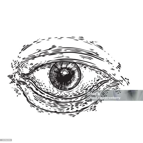 Oeil Humain Dessiné À La Main Avec Liris Comme Élément De Tous Voyant