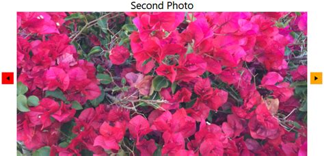 Wpf Slideview Navigation Buttons Telerik Ui For Wpf