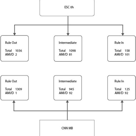 The 0 H Arm Of The European Society Of Cardiology 01 H Algorithm