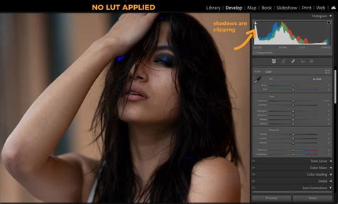 Pro Edu 3d Lut Profiles And Color Grading Presets Nola Natural Light