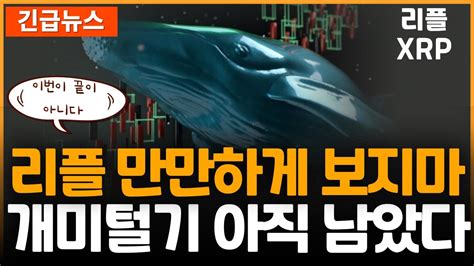 Xrp 리플 지금 만만한 상대가 아니다 개미털기 이번이 끝이라고 생각한다면 다시 맨붕 옵니다 Youtube