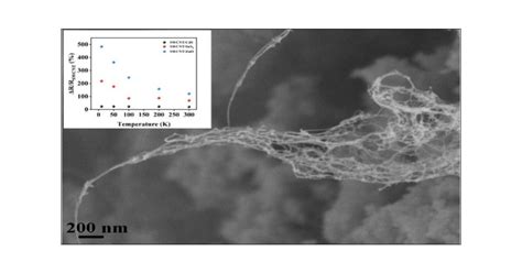 Semiconductor Nanoparticle Anchored Single Walled Carbon Nanotubes For