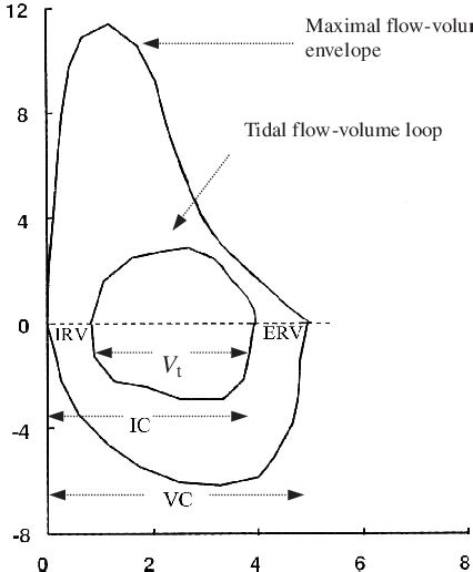 Visual Representation Of Tidal Flowvolume Loop Within The Maximal