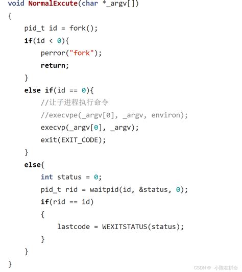 Linux系统编程：进程替换 Csdn博客