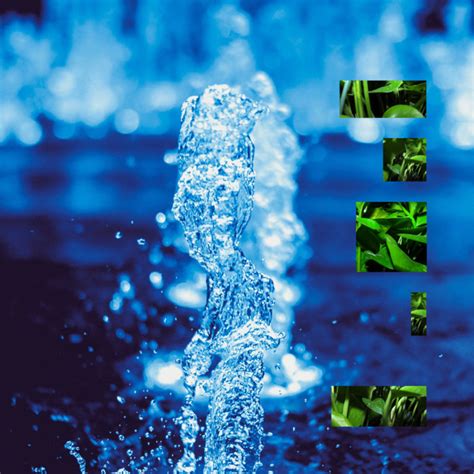 Airgasm Anthony Z Royster