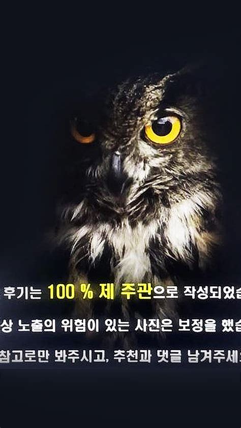 [와글와글 플러스] 성매매 후기 전문 검은 부엉이 징역 1년형 다음 루프