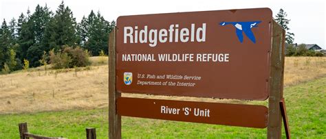 Ridgefield National Wildlife Refuge · Wildlife Viewing Drives