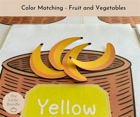 Color Matching Activity Color Activity Learning Colors Etsy Australia