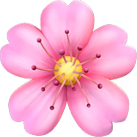 Diadema De Flores Con Emojis