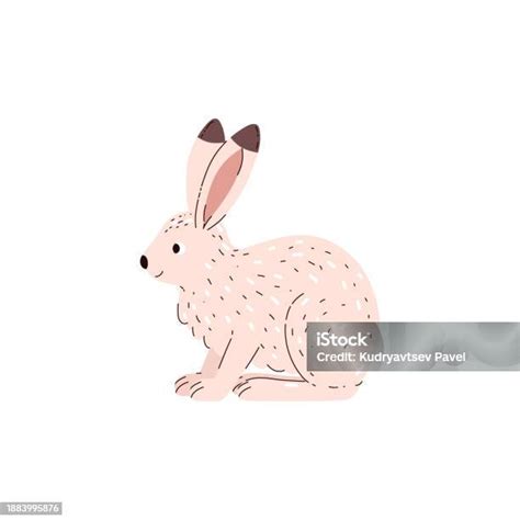 흰색 북극 토끼 만화 스타일 벡터 일러스트 레이 션은 흰색에 고립되어 있습니다 가축에 대한 스톡 벡터 아트 및 기타 이미지 가축 겨울 귀 부분 Istock