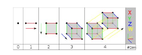 Solved The Tesseract Is The Four ­dimensional Analog Of The