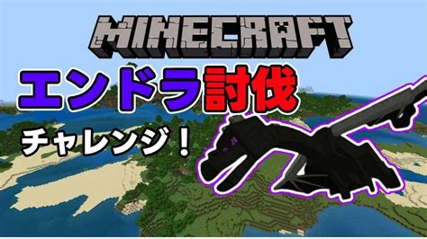 【マインクラフト】 エンドラ討伐rta Java Ver1161 Youtube