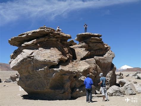 [볼리비아 여행 13] 우유니 사막의 아르볼 데 피에드라 기묘한 버섯 바위 우유니 소금사막 라구나 콜로라다 네이버 블로그