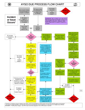 Due Process Flow Chart Fill Online Printable Fillable Blank PdfFiller
