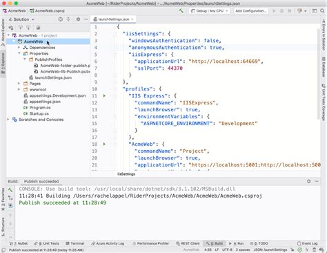 Publishing Applications To Iis Azure Aws And More Using Rider