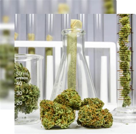 Potency Analysis LUX LEAF Diagnostics In Atlanta Georgia