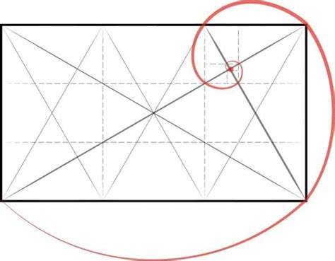 Article 178 Botany The Geometry Of Plants Part 1 Fibonacci