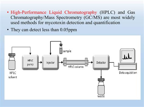 Mycotoxin Contamination In Food Crops And Its Management Pptx Digestive Disorders Diseases