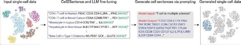 Bioinformatics Transcriptomics Aiinbiology Singlecell