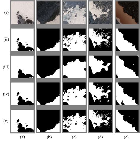 Prediction Results From 5 Images With Different Details A E For All Download Scientific
