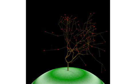 Generate Tree — Generate Tree • Raybonsai
