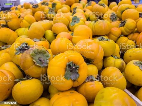 가을에 슈퍼마켓 쇼케이스에 있는 다양한 종류의 오렌지 호박 가을에 대한 스톡 사진 및 기타 이미지 가을 건강한 생활방식 건강한 식생활 Istock