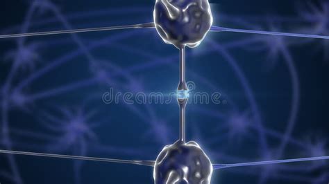 3d Rendering Of Dendrite Of An Axon Slender Projection Of A Nerve Cell