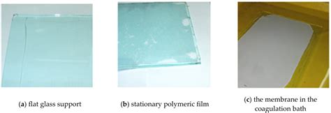 Figure 5 From Control Of Nanostructured Polysulfone Membrane