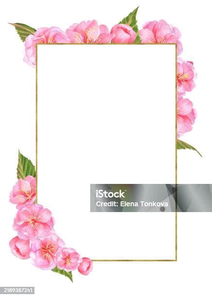 분홍색 벚꽃 꽃 녹색 잎 및 수직 황금 프레임과 인사말 카드 엽서 초대장 전단지 레이아웃 손으로 그린 수채화 그림 0명에 대한