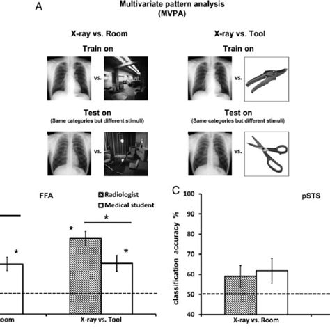 Mvpa Cross Categorization Results A Illustration Of The