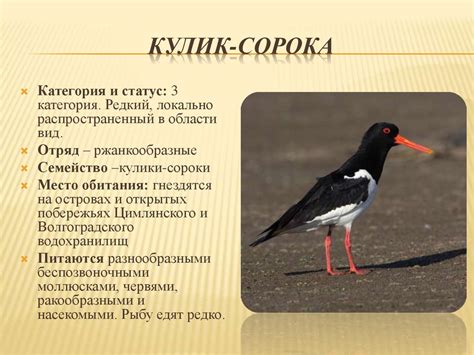 Птицы Волгоградской области занесенные в Красную книгу презентация онлайн