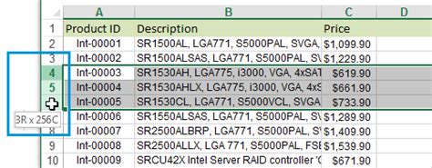 How To Insert A Row In Excel Adding Rows In Excel Spreadsheet Earn And Excel