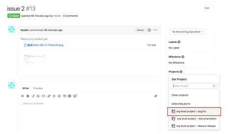 Supercharge Your Issue Management Workflow Introducing Org User Level Projects Scoped Labels