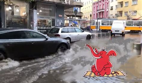 Джулието си търси работа Здравейте Като всеки уважаващ себе си слон Джулието си направи и