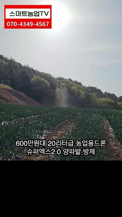 농업용드론 20리터급 가성비 농업용드론 슈퍼엑스20 양파밭 방제 방제드론 방제입문 드론초보 방제초보 가성비드론 방제드론추천 Youtube