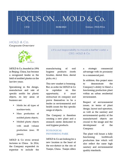 Mold Co Flyer Pdf China World Politics