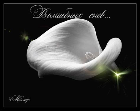 Мерцающие открытки Спокойной ночи 102 гифки